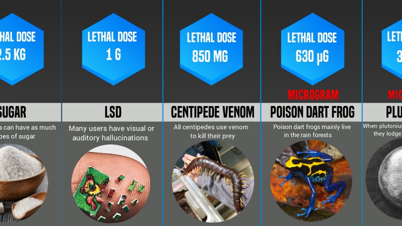 Comparison: Most Toxic Substances ever - YouTube
