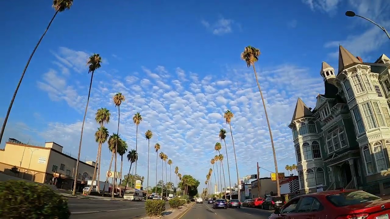 Sherman Way Palm Trees - teaser - YouTube