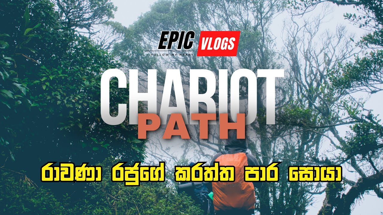 Chariot Path | රාවණා රජුගේ කරත්ත පාර සොයා මීදුම අතරින් සීතල කඳු මුදුනට ...