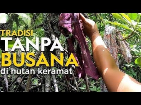 BELUM KAWIN JANGAN TONTON SEGERA TUTUP LAYAR..!!KEHIDUPAN SUKU JAWA DESA TERPENCIL JAWA TENGAH