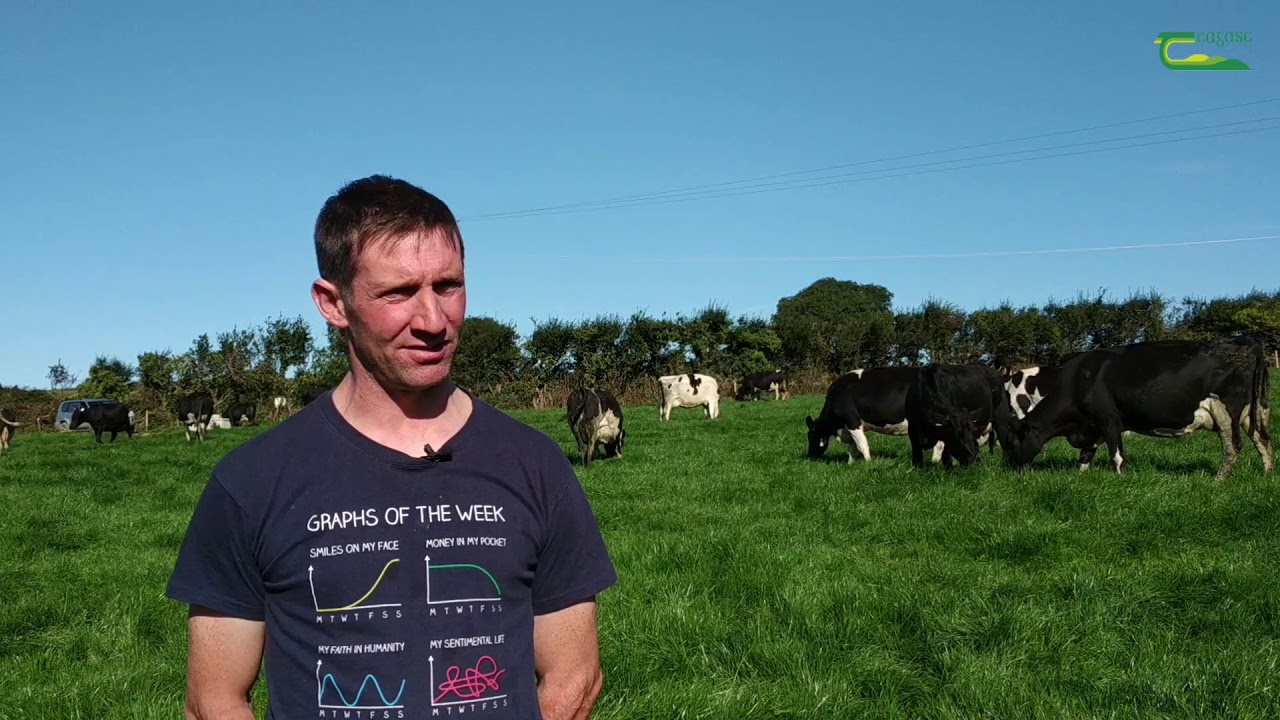 Adrian Keane - Teagasc/ Kerry Agribusiness Monitor Farmer - YouTube