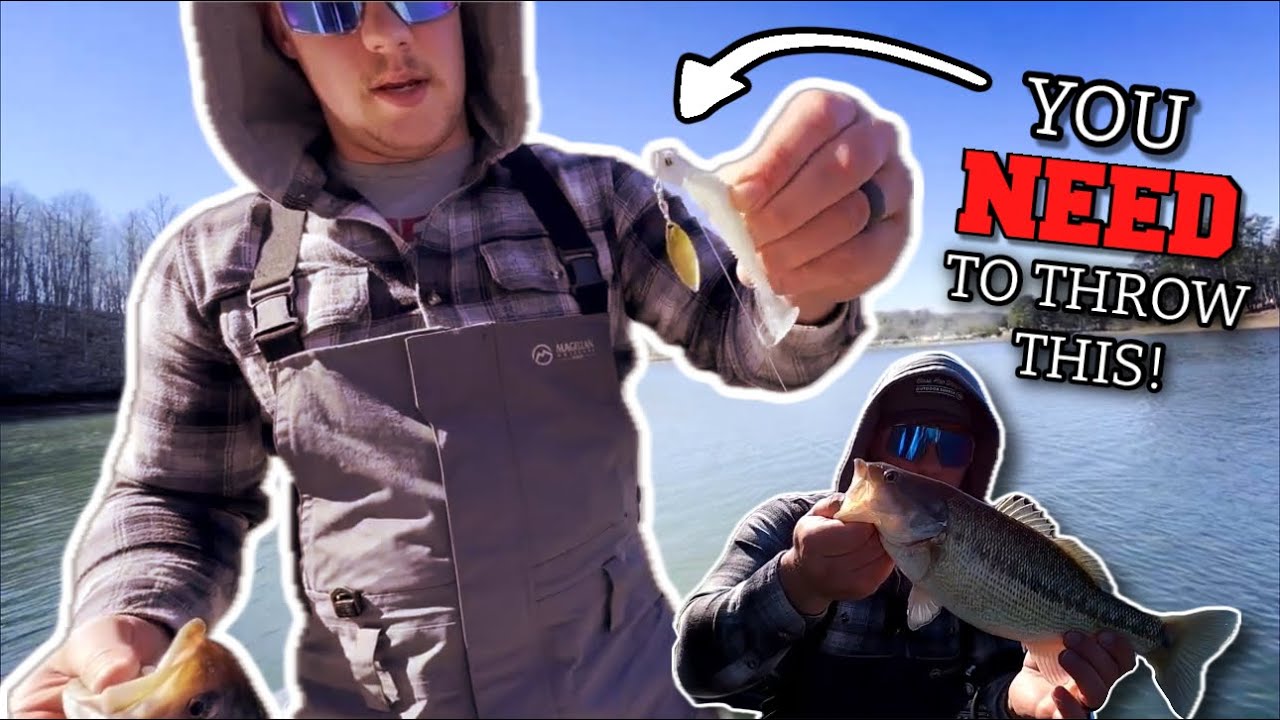 The BEST technique for BASS fishing (TIPS for power fishing with ...