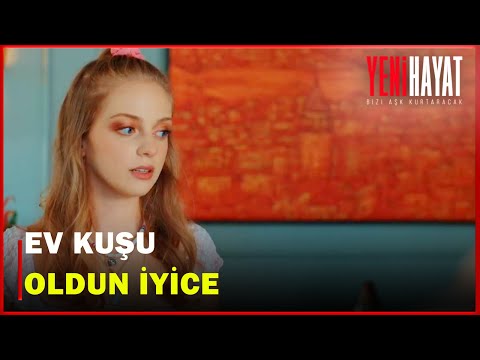 Ev Kuşu Gökçe!  - Yeni Hayat Özel Klip