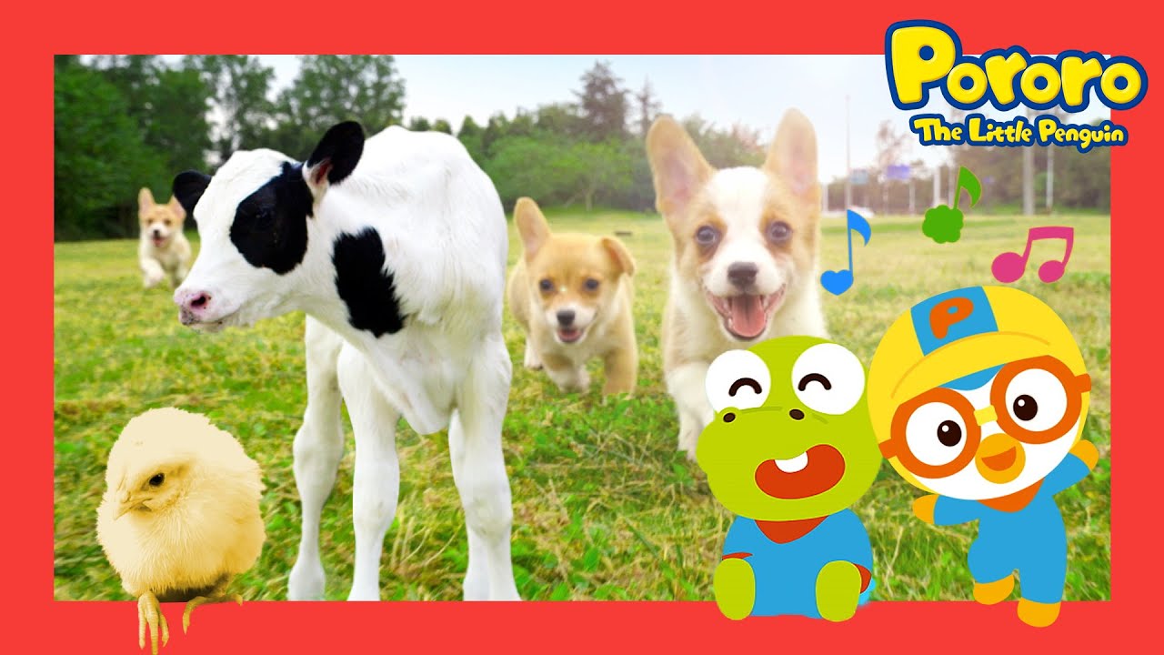 Pororo Animal Friends | #4 Three Baby Animals | Pororo in real life ...