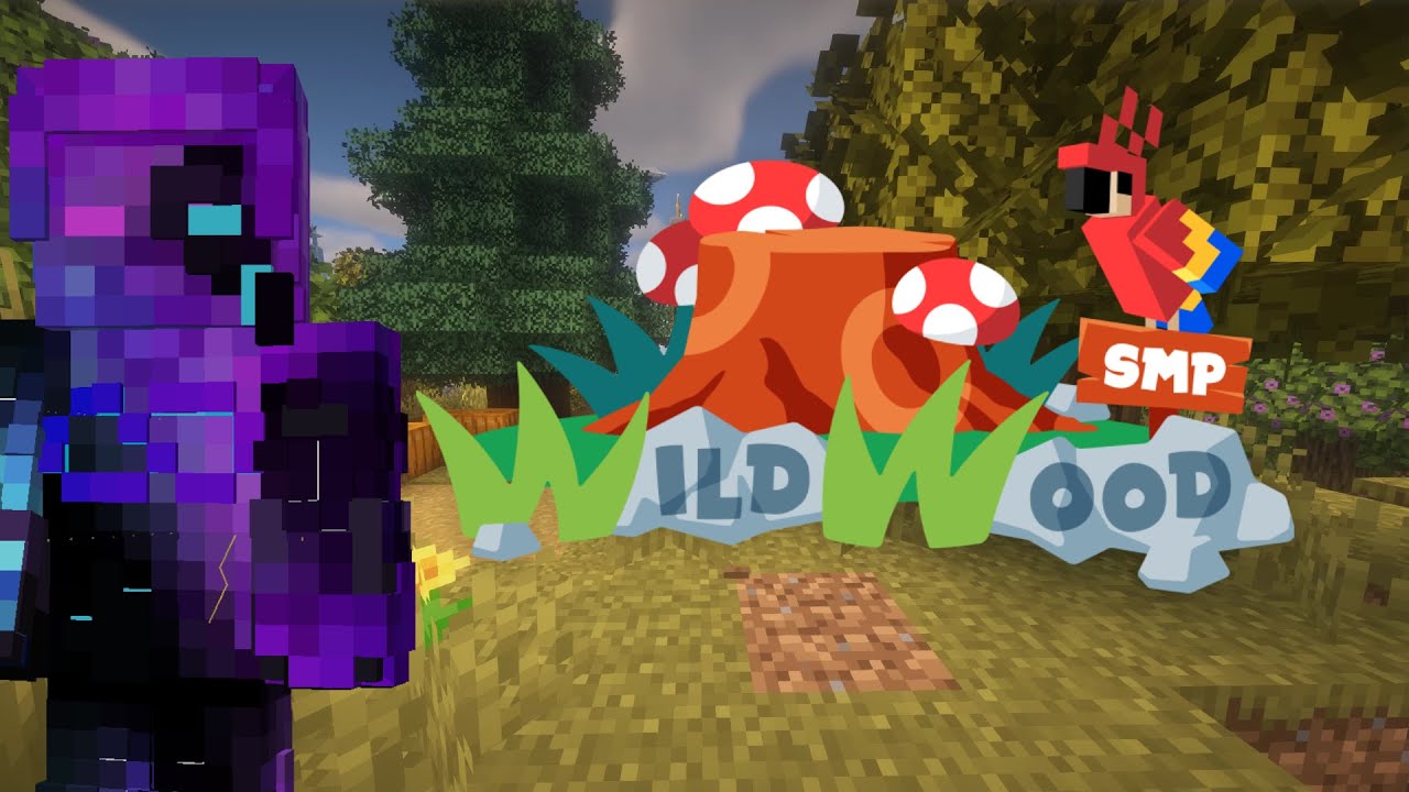 Wildwood smp: having fun🔴Grinding🔴Rating bases🔴635 subs? - YouTube