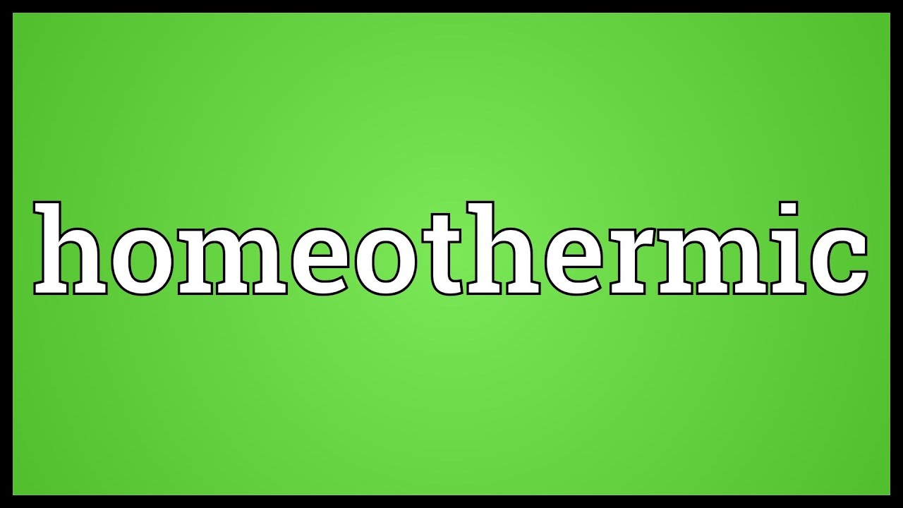 Homeothermic Meaning - YouTube