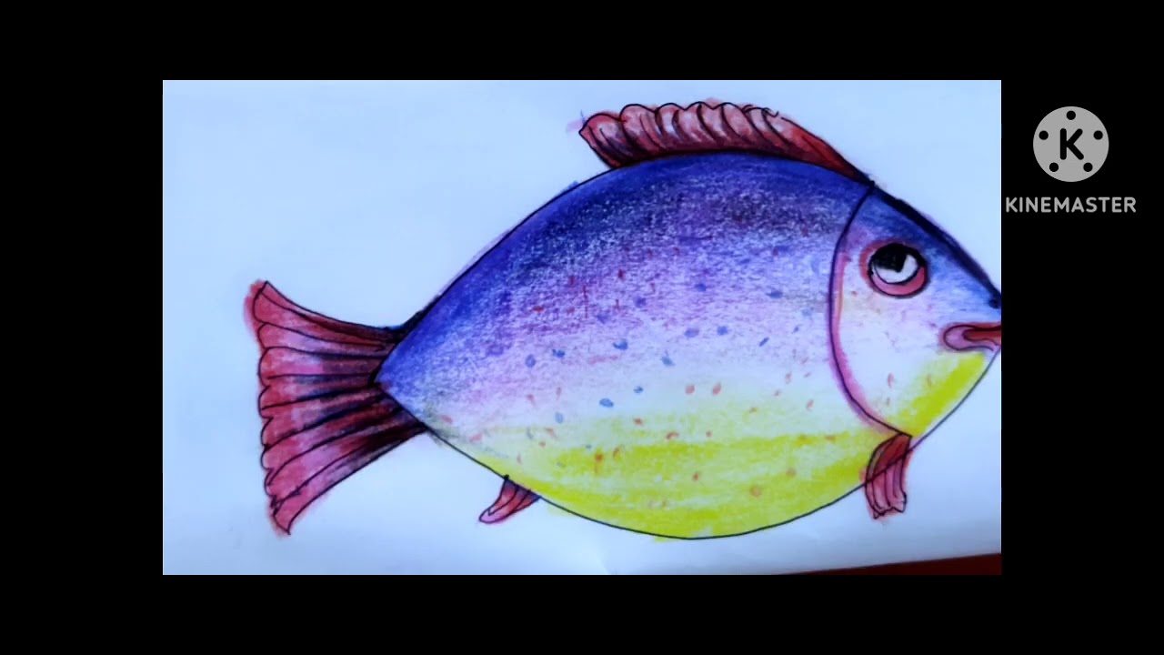 Fish drawing and Painting for biginers - YouTube