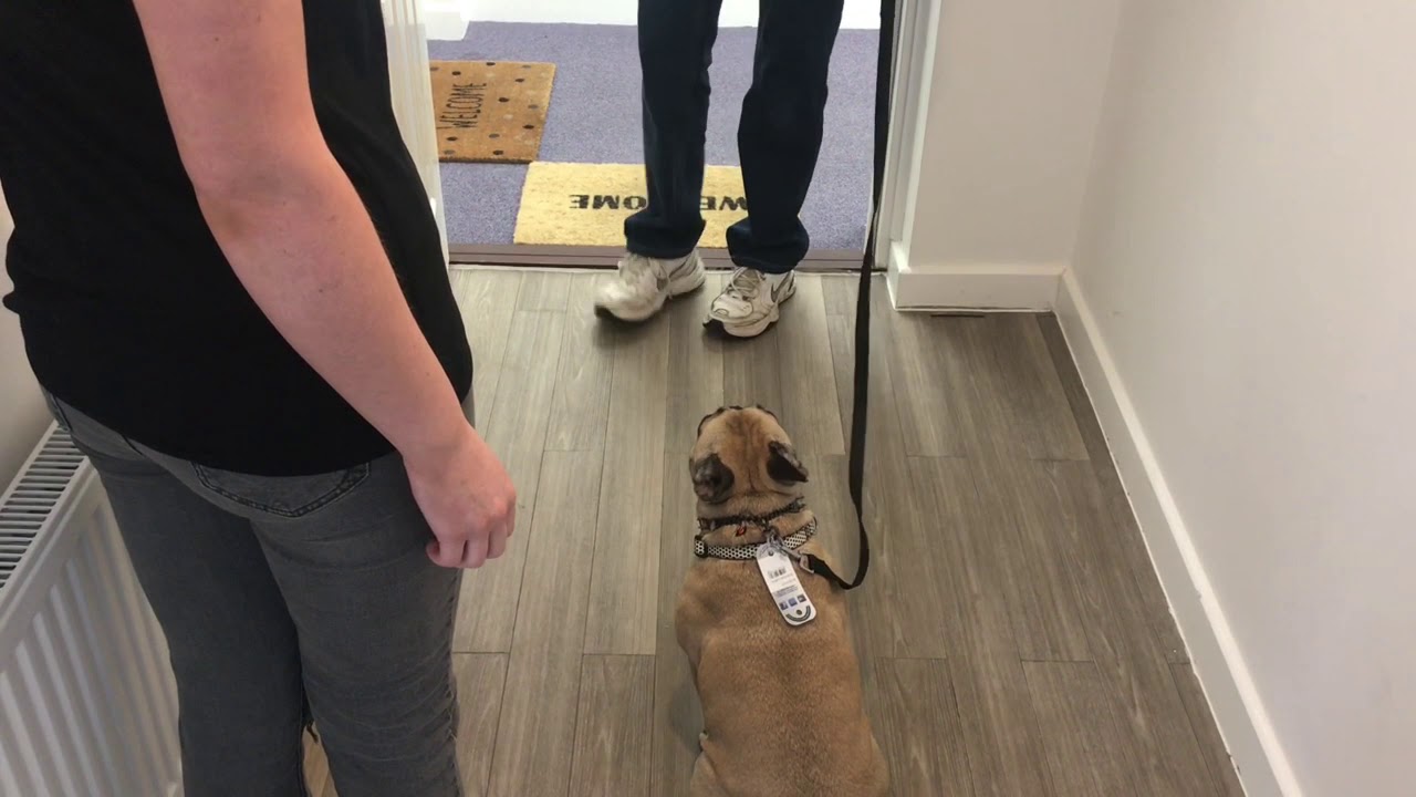 Door manners - YouTube