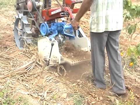 Turmeric Harvester - YouTube