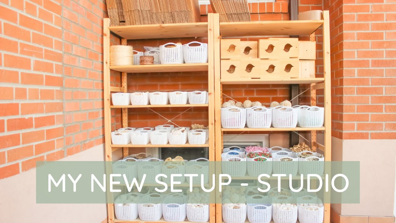 Studio Vlog - Bird Toys, IVAR Setup, Sola Flowers, Increased Prices ...