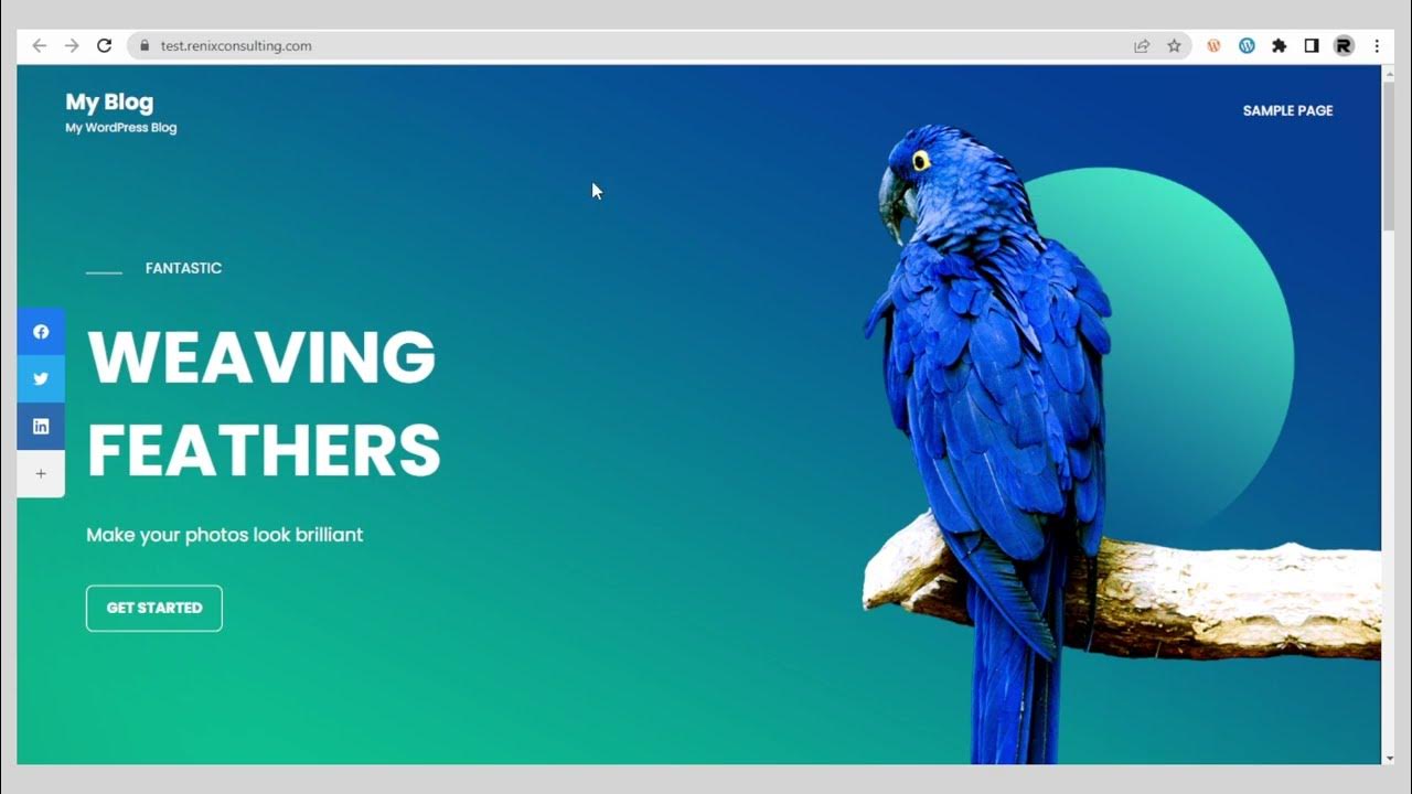 How to detect WordPress theme in use on a Blog/Website - WordPress theme and Plugin detector ...