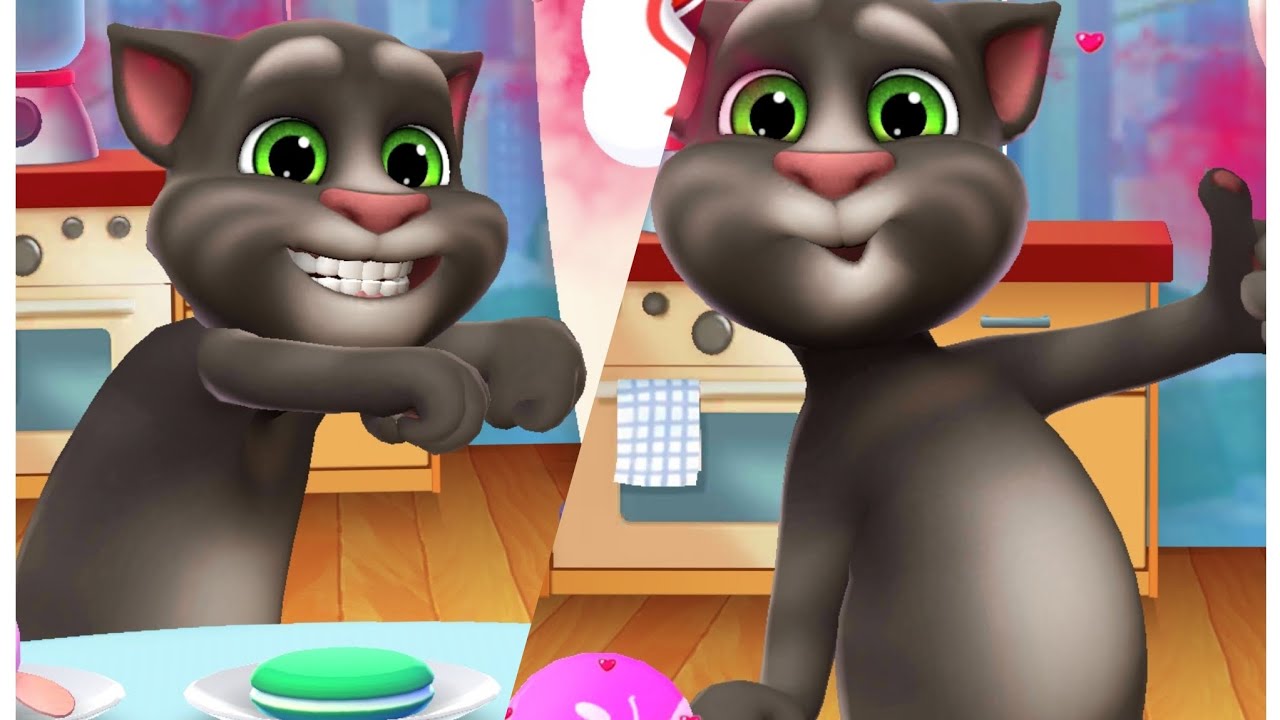 talking video game playing talking tom cat mew game.play - YouTube