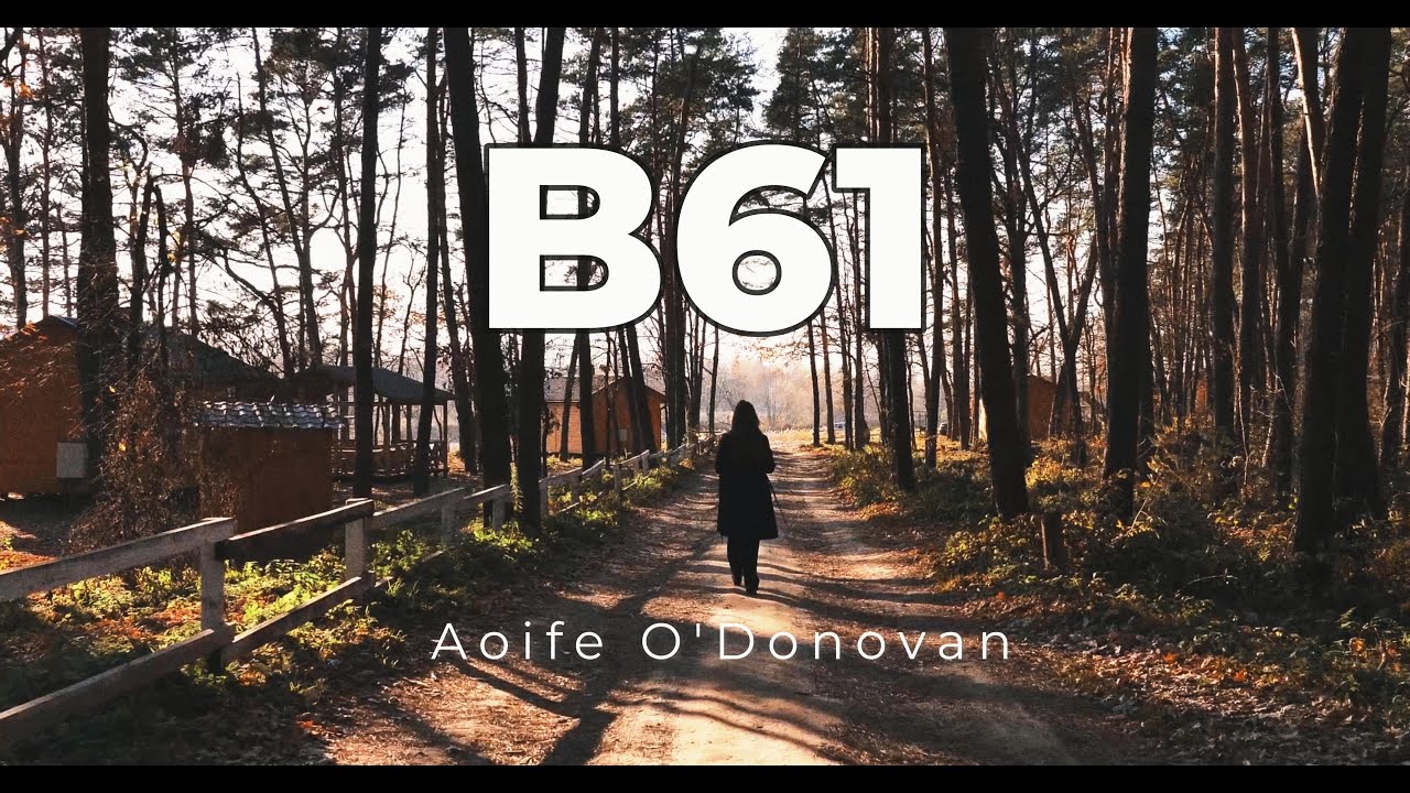 Aoife O'Donovan – B61 - YouTube