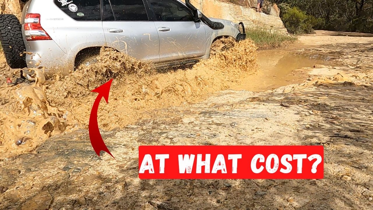 How Stupid - What was the cost to get this shot? - YouTube