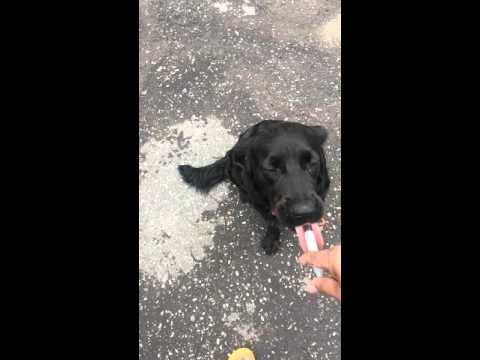 Lesci Princesa da Mamãe