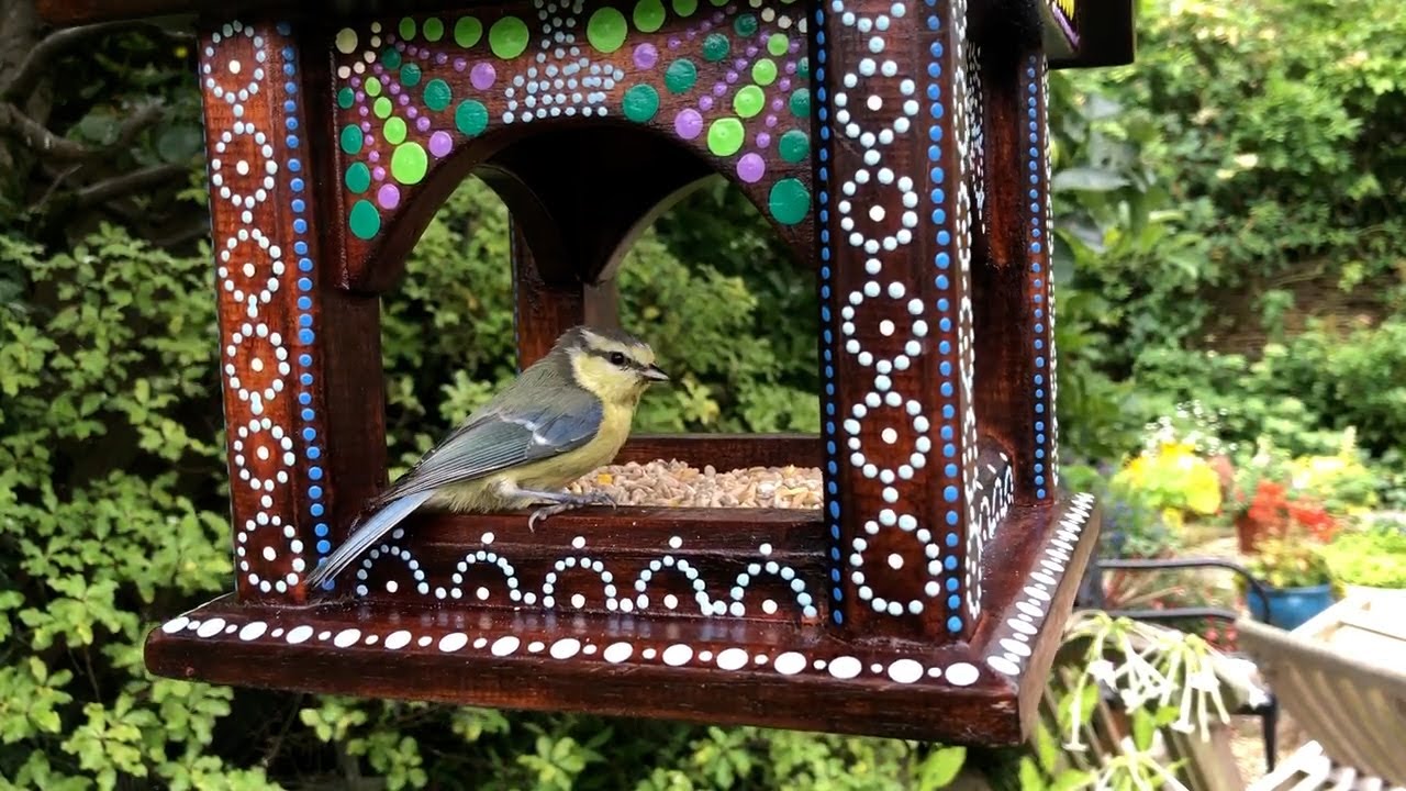 Beautiful, bright, bird feeders - YouTube