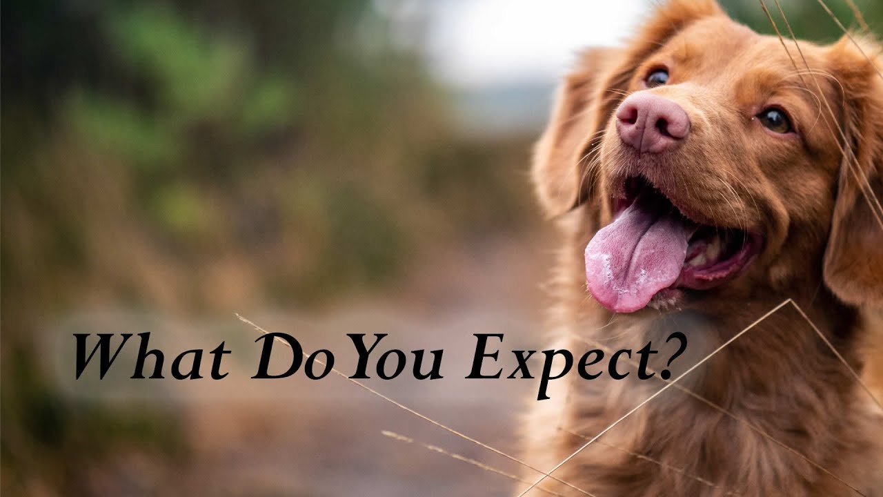 What Do You Expect? - October 23, 2022 - YouTube
