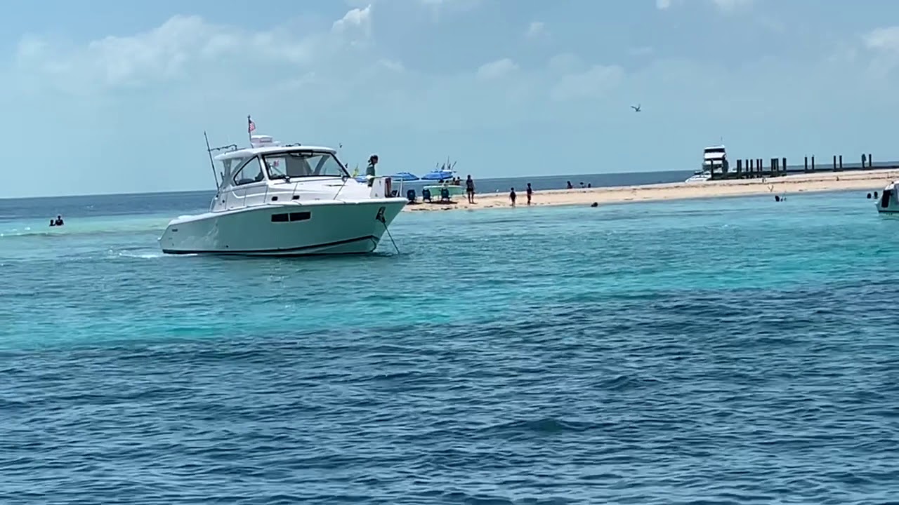 Bimini Bahamas Raft Off and Swimming with the Sharks - YouTube