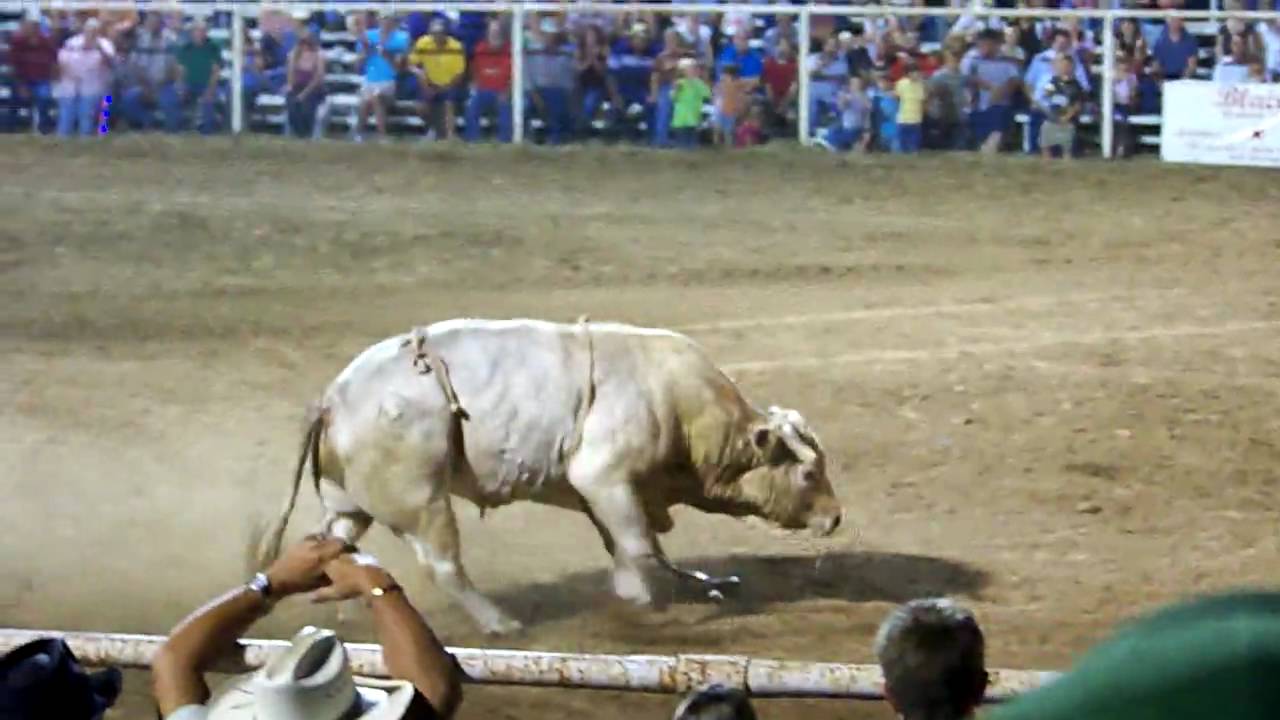 Rodeo - Marble Falls - The Moonwalking bull - YouTube