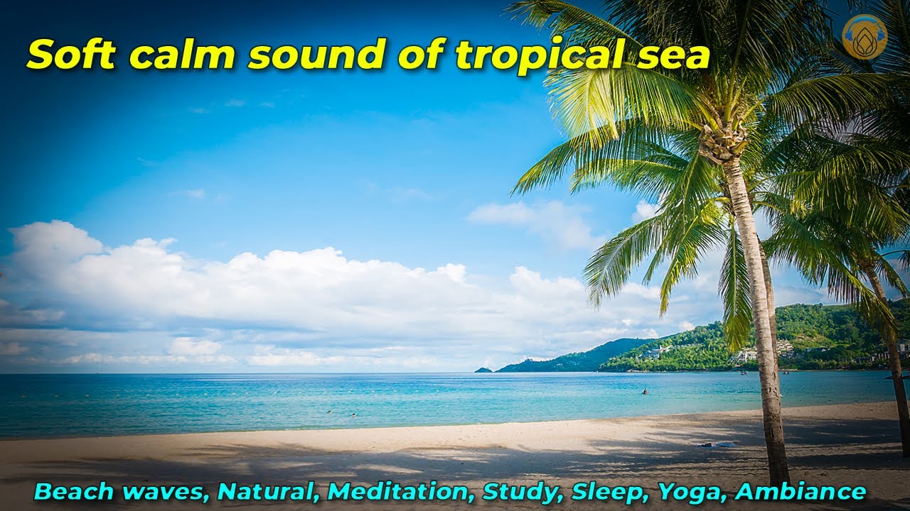 3 Hours of most relaxing soft calm sound of tropical sea beach waves ...