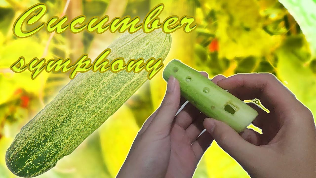 How To Use Cucumber As Instrument - YouTube
