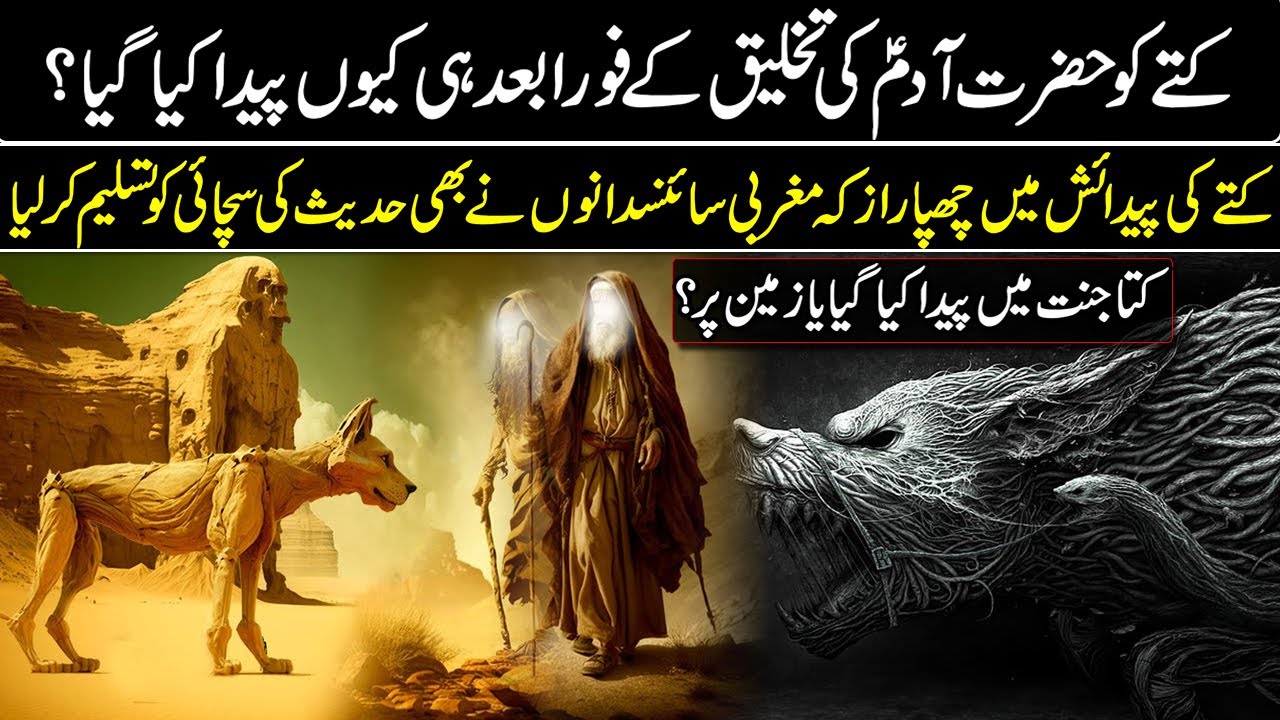 Why Dog Was Created After Prophet Adam (AS) I Mystery About Dogs in ...