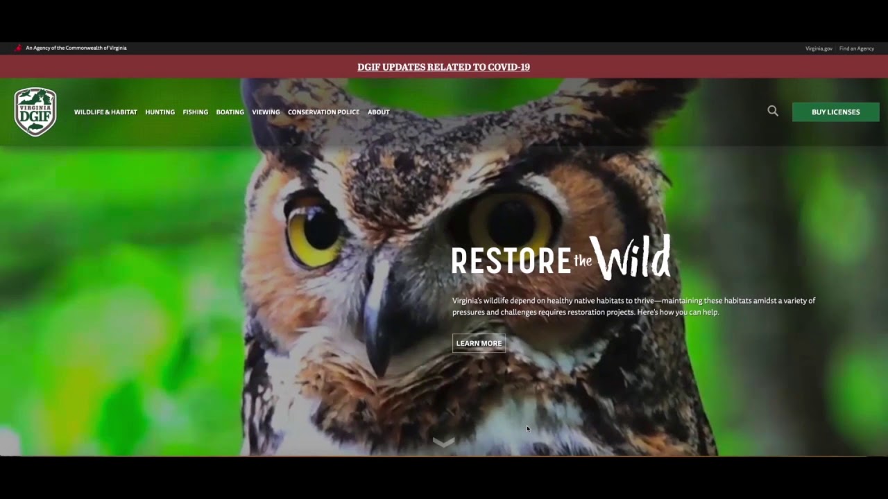 An Introduction To Blue Lining - Part 1 - YouTube