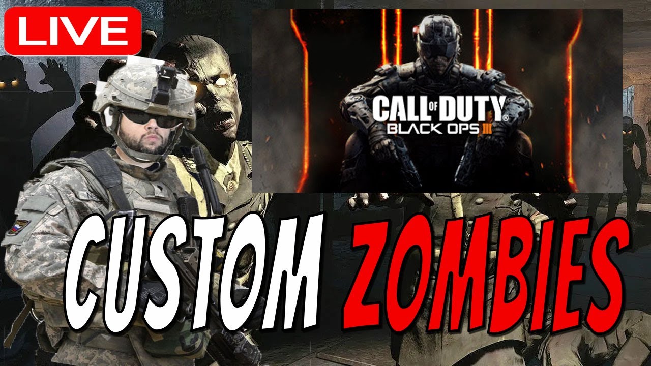 CALL OF DUTY CUSTOM ZOMBIES | VETERAN PLAYER - YouTube