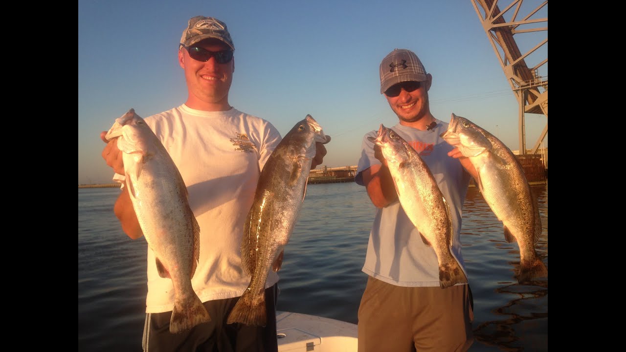 DockSide TV "Book a Charter and Get in on the Action" - YouTube