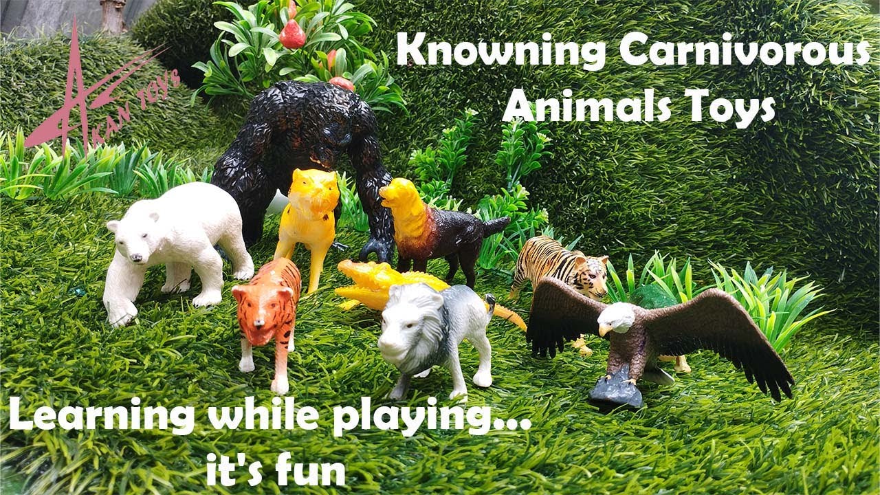 learning carnivorous animals toys polar bear, jaguar, cheetah ...