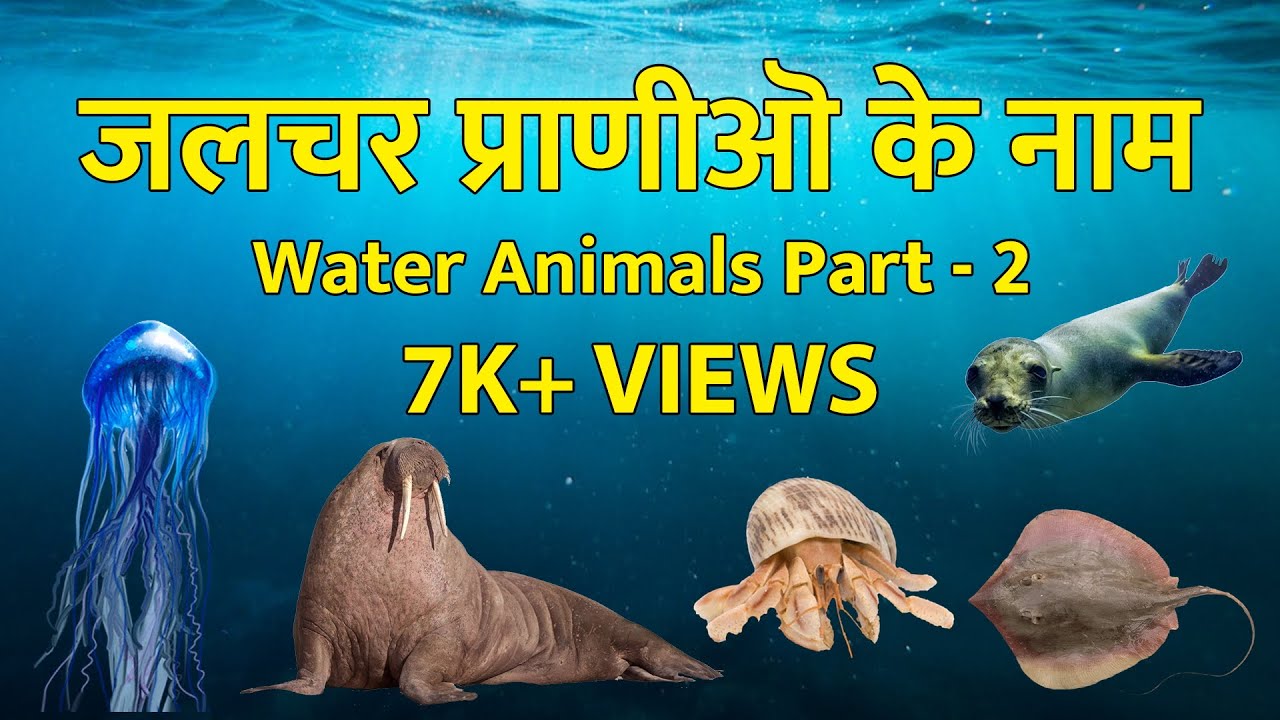जलचर प्राणी के नाम | Jalchar Prani | Water Animals Names in Hindi ...