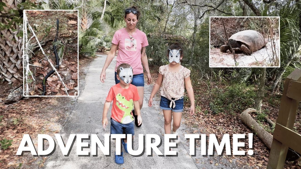 We Saw A RACOON, OWL, SNAKE, And A TORTOISE! | ADVENTURE TIME - YouTube