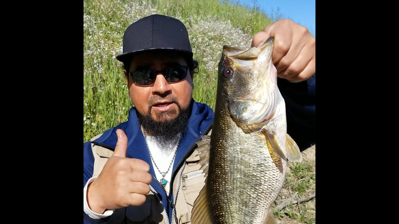 Largemouth Bass Spring Time Pond Fishing Catch & Release for Fun ...