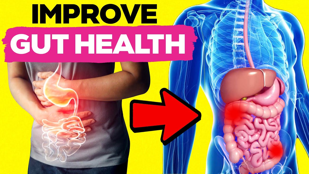 7 Ways to Improve Gut Health - YouTube