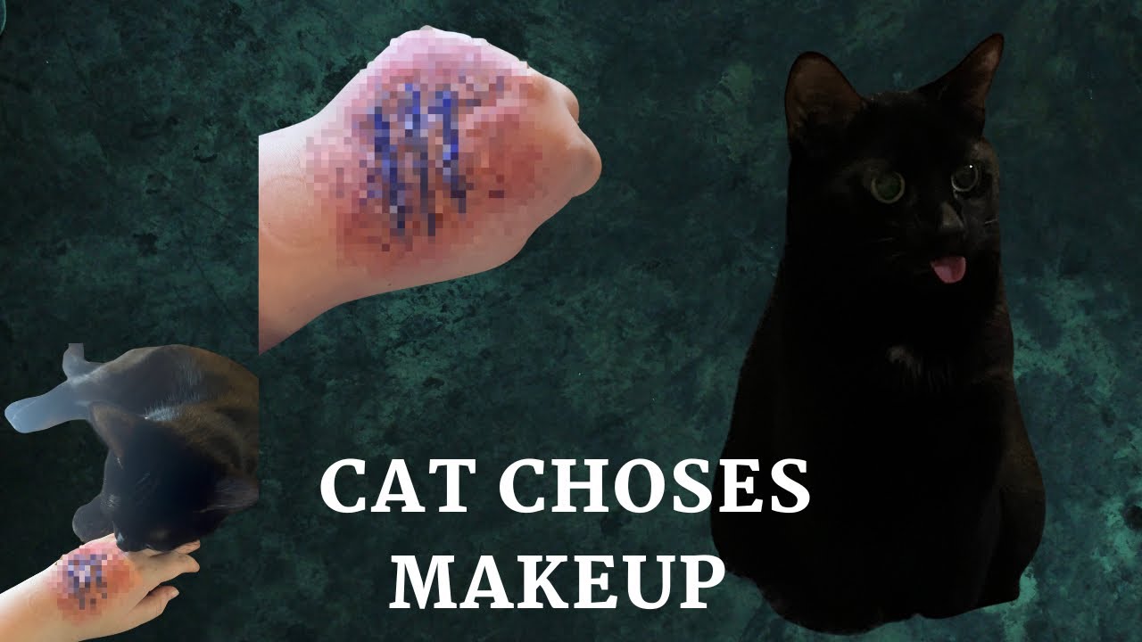 My cat choses my makeup - YouTube