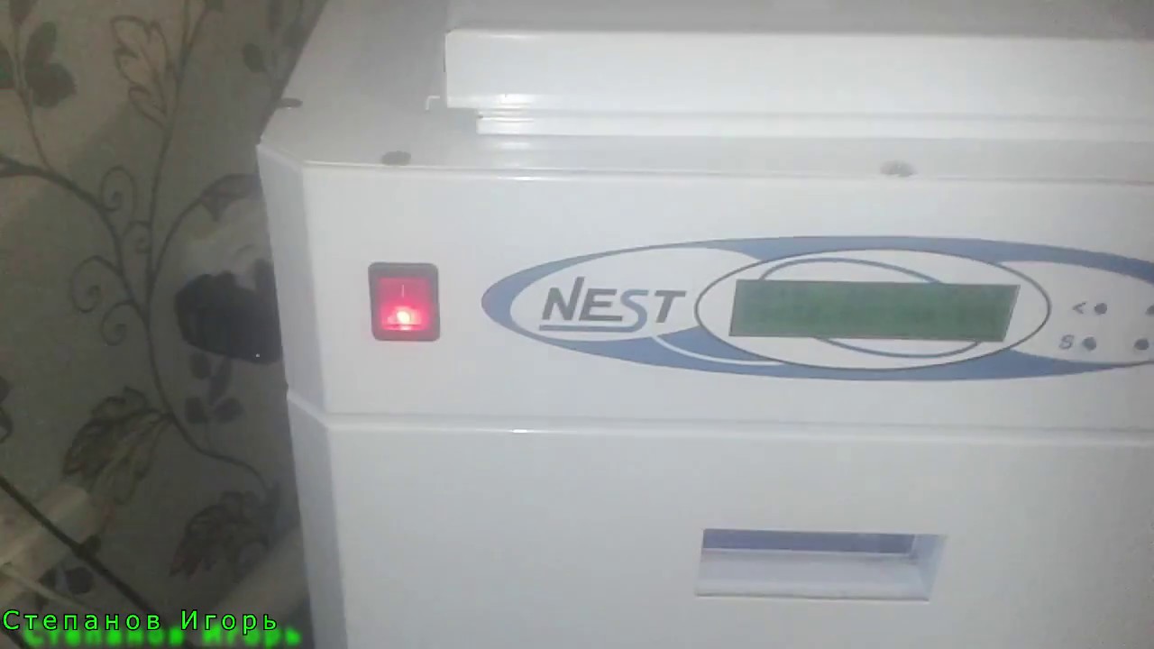 Инкубатор NEST 200 Обзор - YouTube