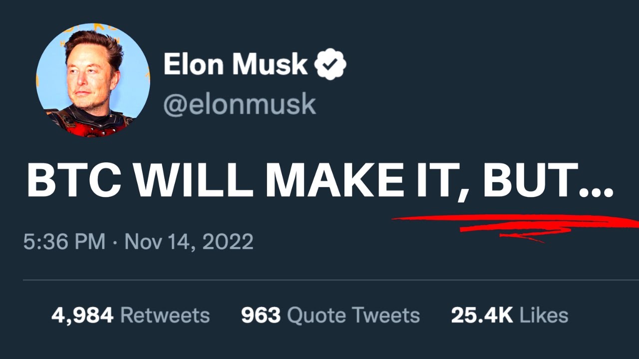 “He Just KILLED Crypto” Elon Musk on FTX Crypto Crash and Bitcoin ...