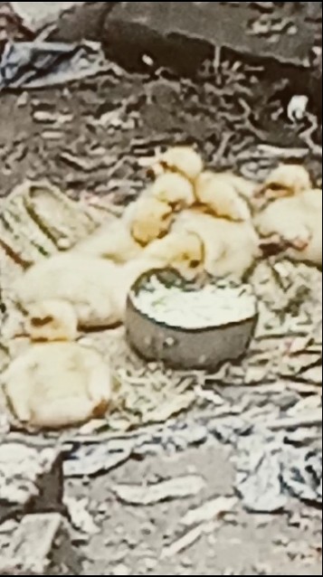 hdkw23uwoehdjsm - YouTube