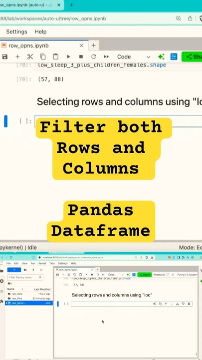 Filter rows and columns using “loc” Pandas Dataframe #datacleaning # ...