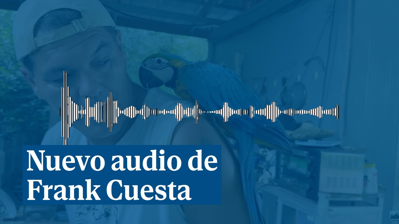 Nuevo audio exclusivo de Frank Cuesta: "¿De dónde te crees que han ...