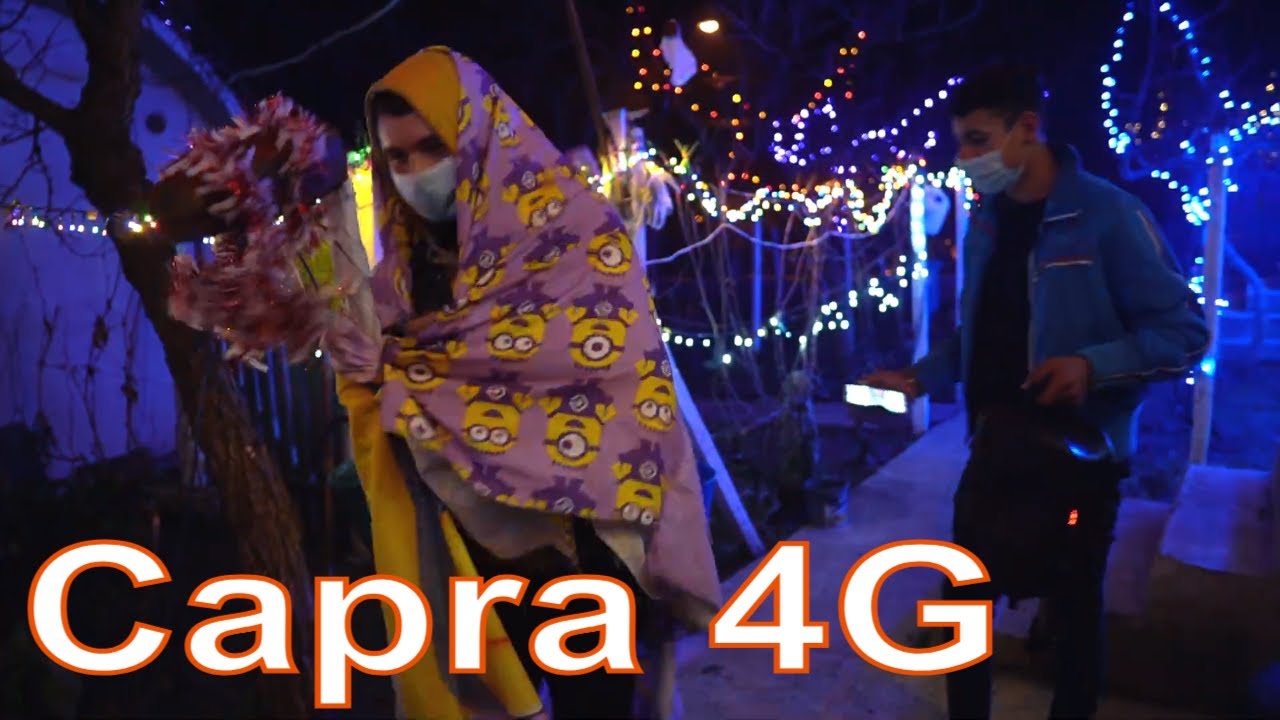 Noua generatie - Colind cu Capra (microcipata si controlata cu 4G ...