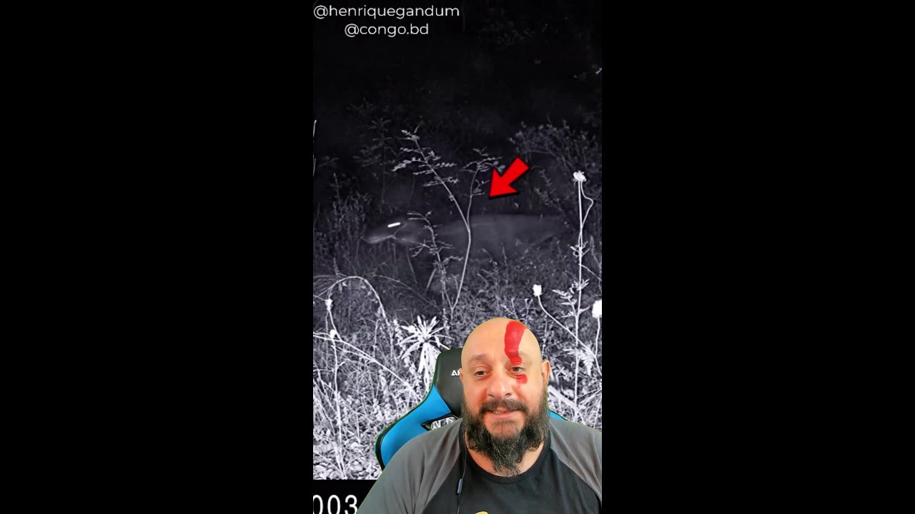 Descobriram um dinossauro no Congo, Congoraptor! Criptozoologia ...