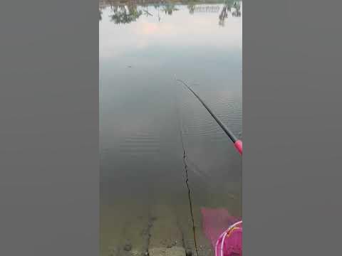 sambil nunggu buka puasa kita mancing dluu - YouTube