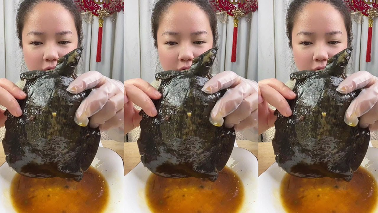 Farmed Turtle，Asmr Mukbang Chinese Food Eating Challenge - YouTube
