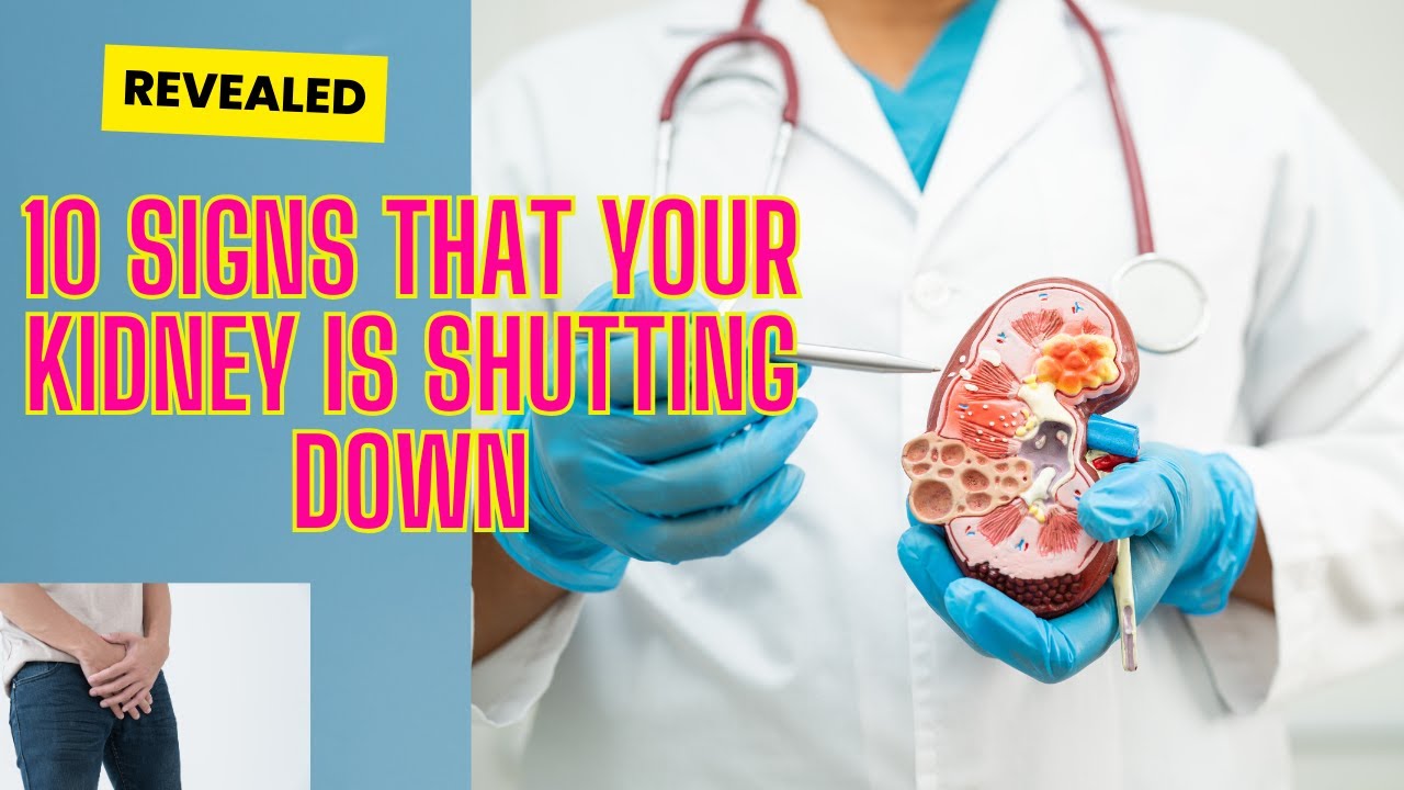 10 signs that your kidney is SHUTTING DOWN - YouTube