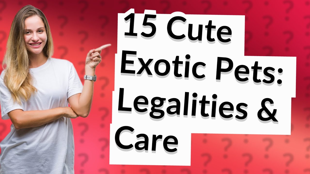 Can I Own an Exotic Pet? 15 Cute Options to Consider - YouTube