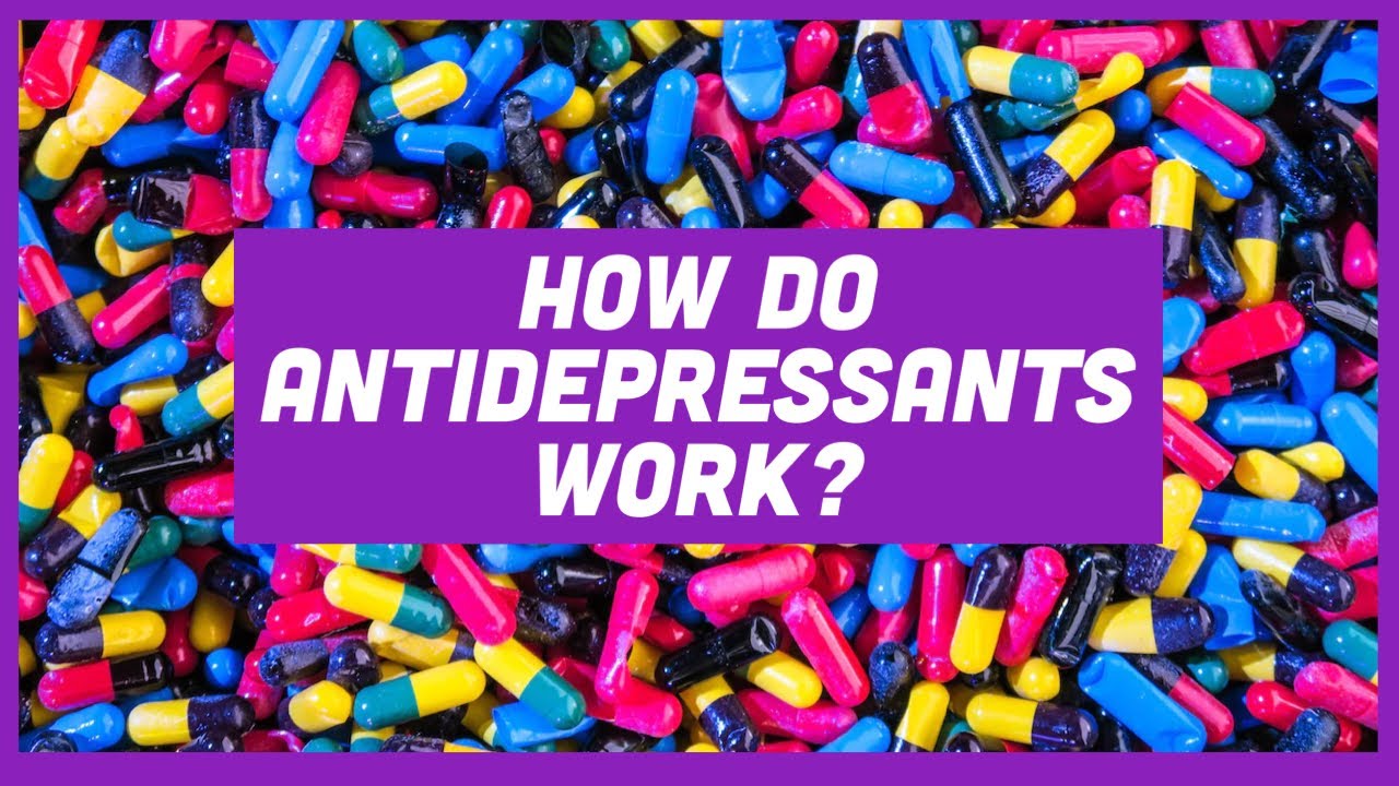 How Do Antidepressants Work? | Sci Guys Clip - YouTube
