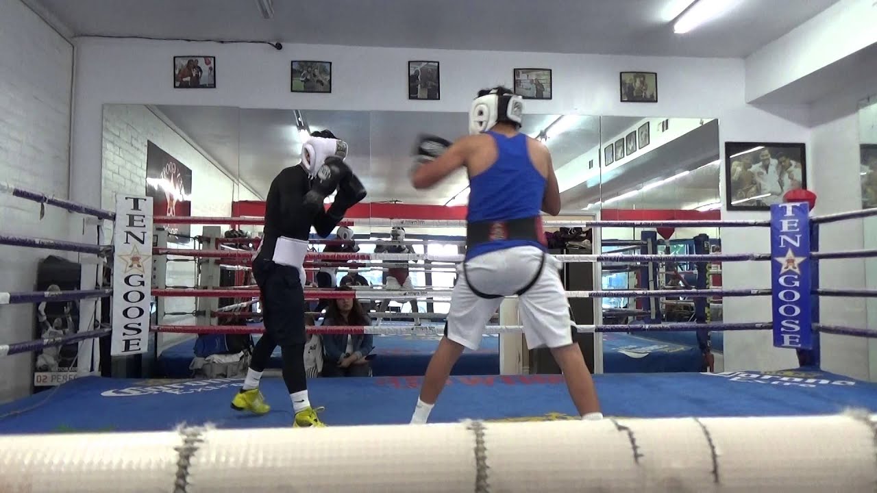 young warriors sparring at goossen gym EsNews Boxing - YouTube