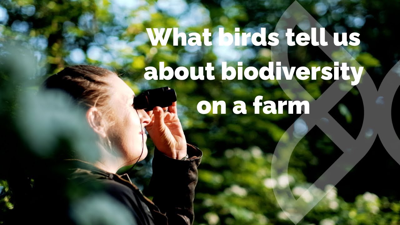 What birds tell us about biodiversity on a farm | RSPB Hope Farm - YouTube
