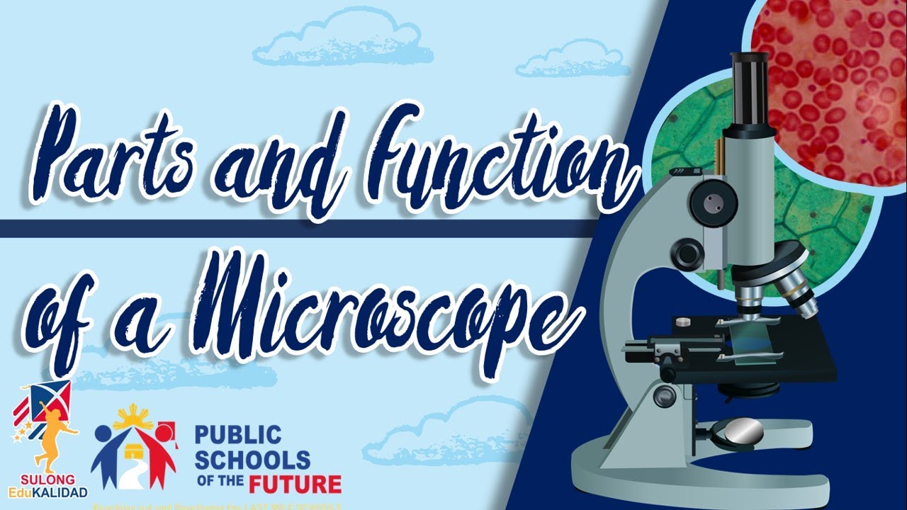 GRADE 7 PARTS AND FUNCTIONS OF A MICROSCOPE K12 Lesson MELC Based GRADE 7 PARTS AND FUNCTIONS OF A MICROSCOPE K12 Lesson MELC Based